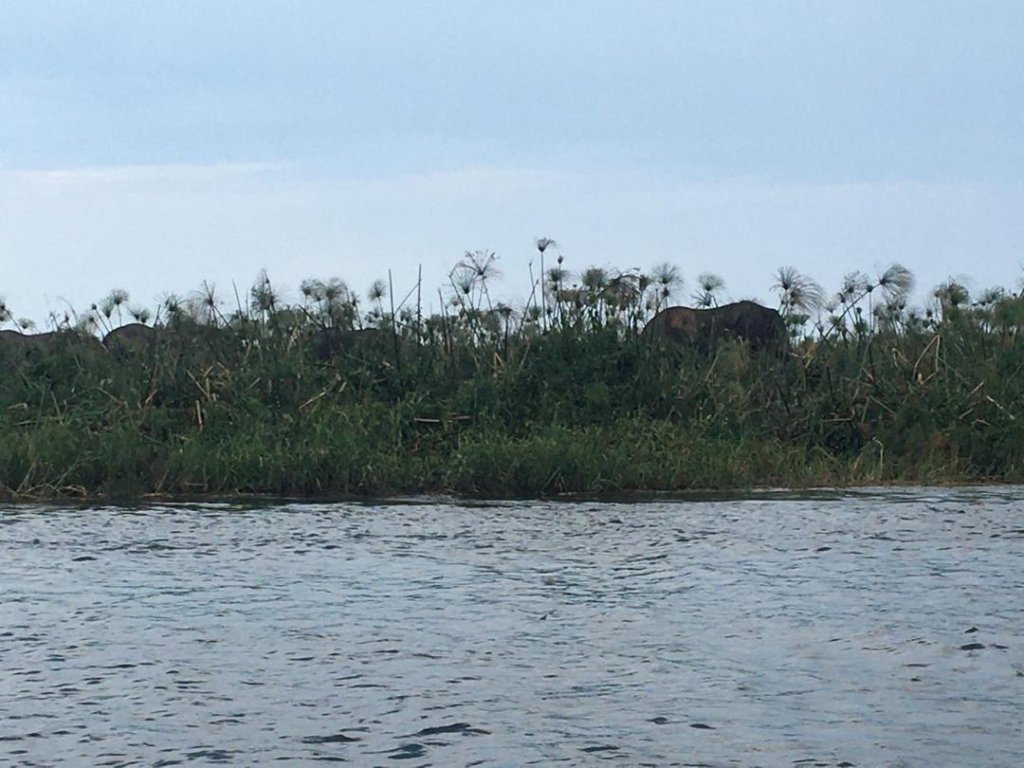 Wildlife, Habitat, Geological and Climate » Okavango Properties ...